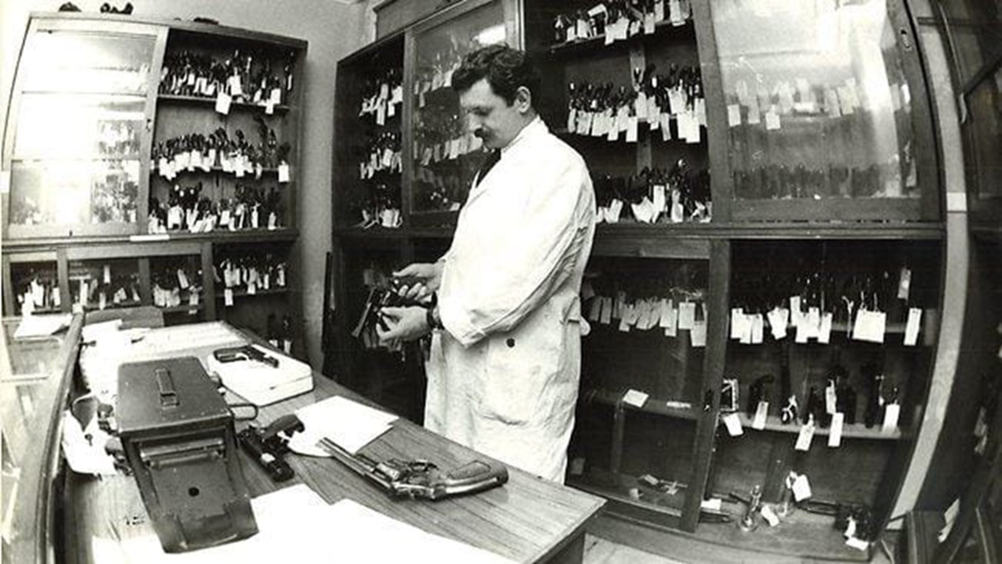 Dimension by HTML5 UP